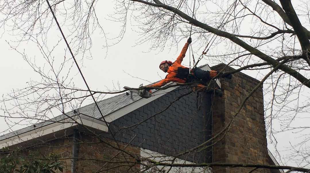 Jardinier Liège | Parc Jardin Forêt